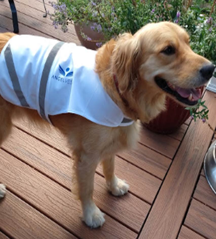 Angel Vests - Reflective Safety Vests for Pets, Children & Adults